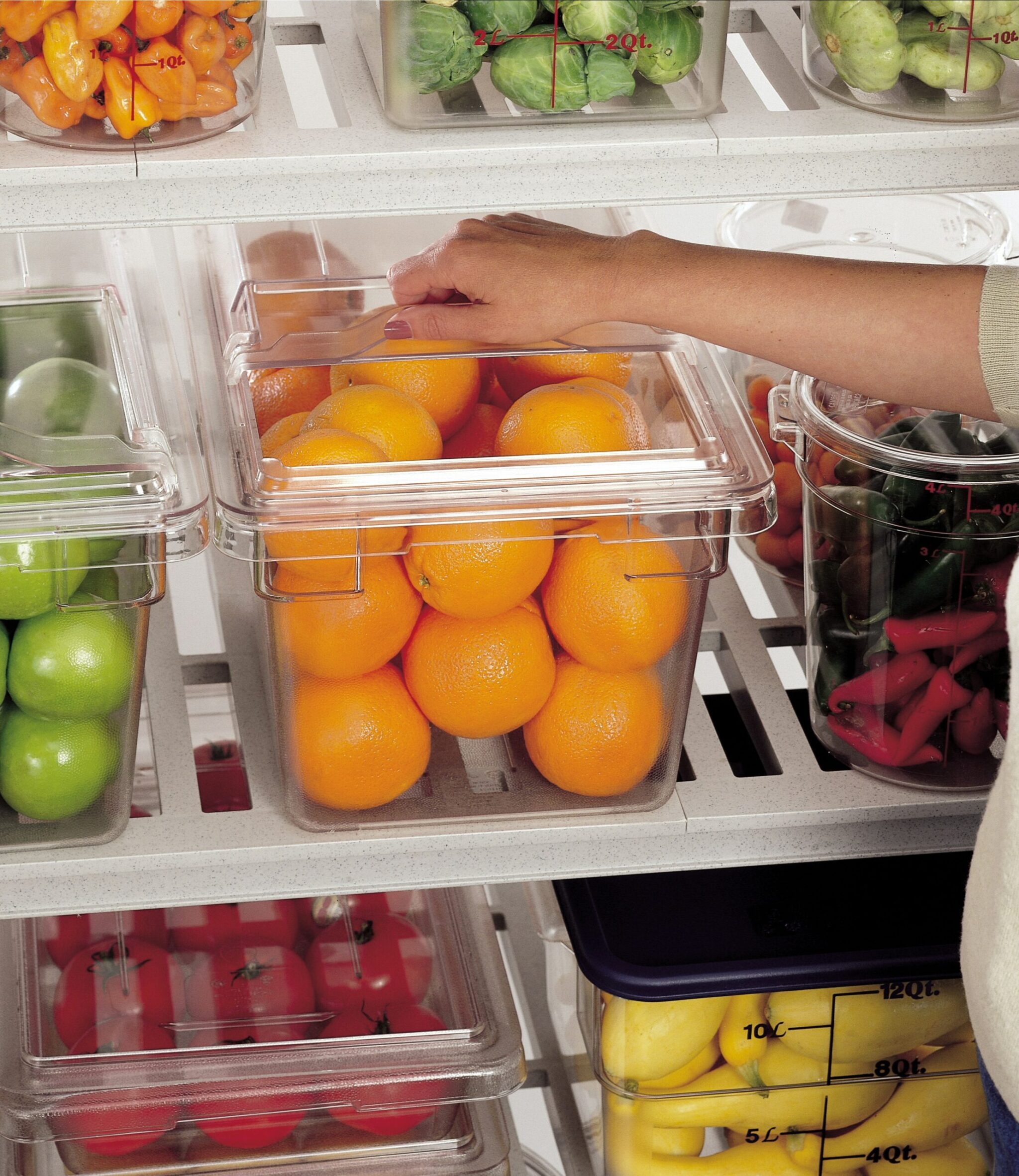 What is a Cambro Container & What is it Used For? - Eleven36 Blog